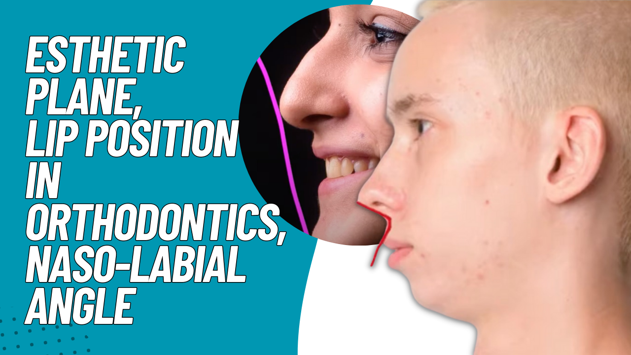 Esthetic Plane, E-Line, Lip Position in Orthodontics, Naso-Labial Angle